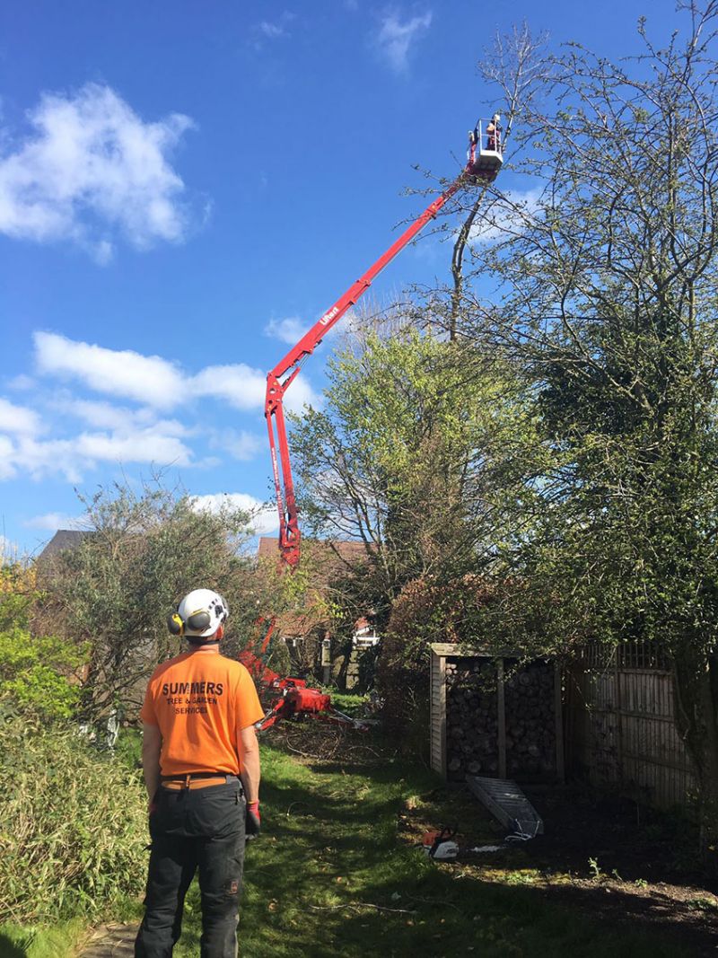 Nottingham About us | Summers Tree And Garden Services | Tree Surgeon ...